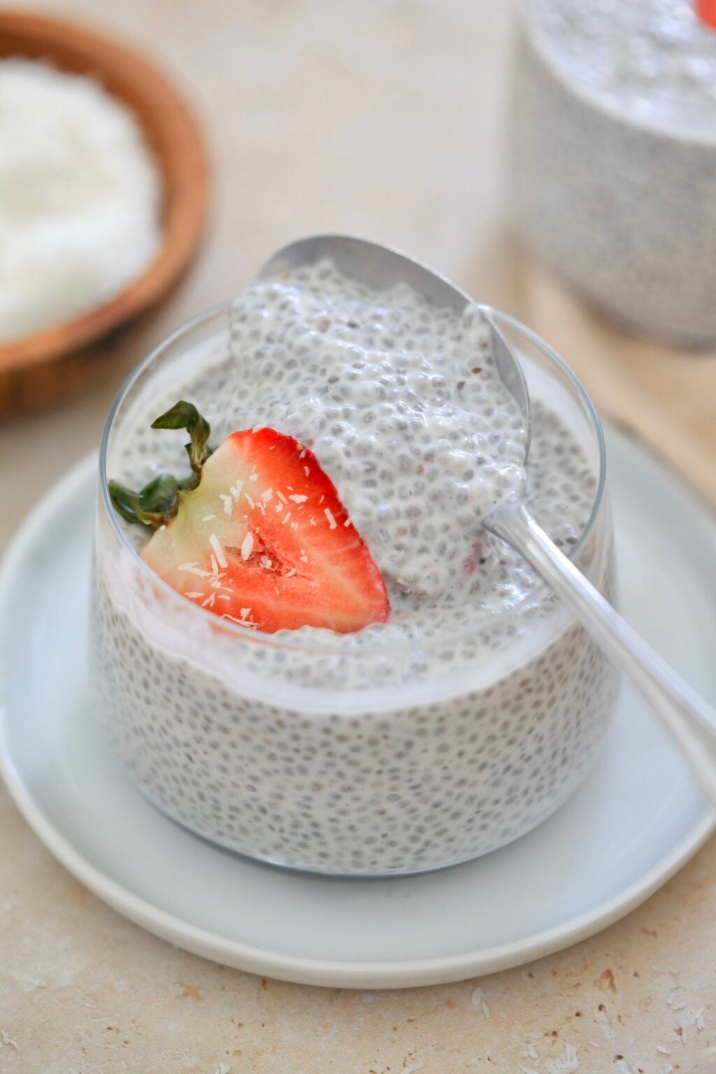 Coconut Milk Chia Pudding (with Greek yogurt!) - Hummusapien